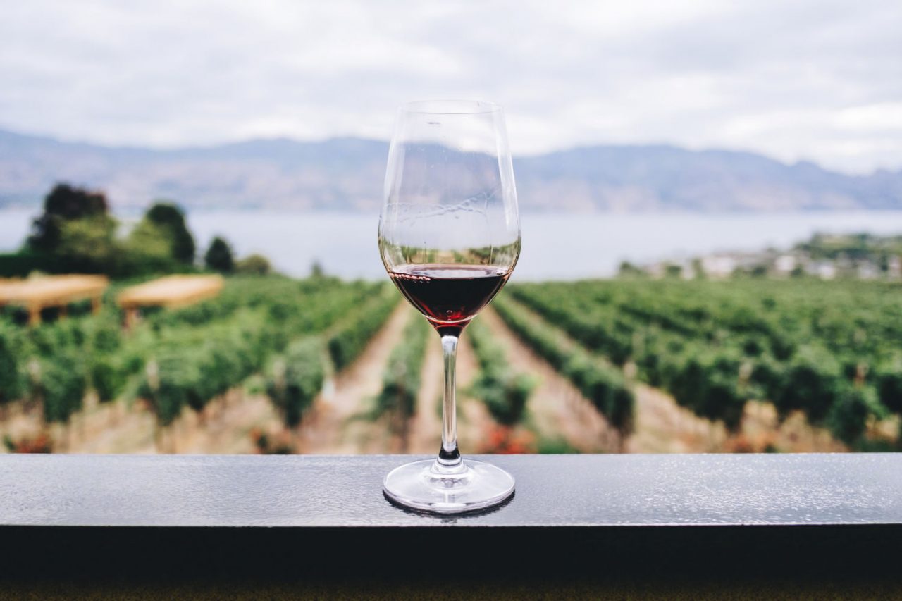 Explore the Valencia Regional Guide (Ultimate foodie guide)